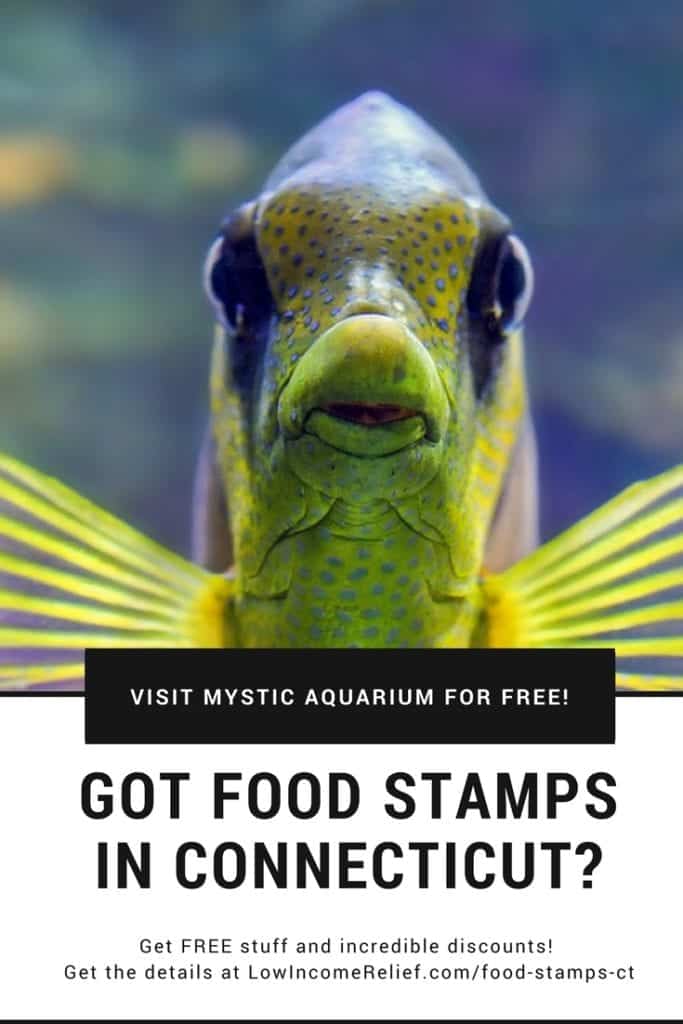 18 Incredible CT EBT Card Discounts!