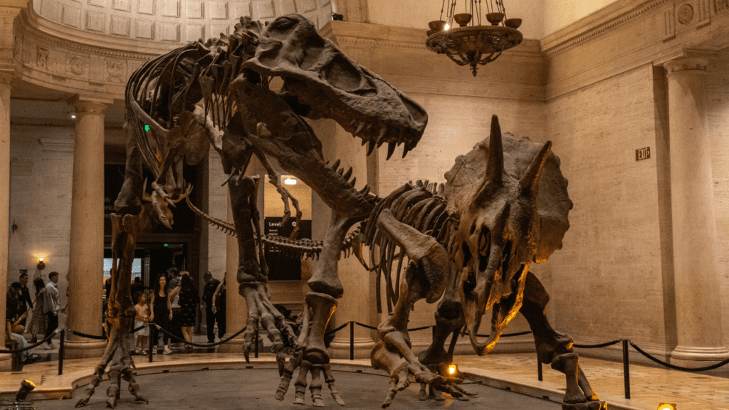 Your Guide To Low Income Financial Assistance, Housing Help, And More