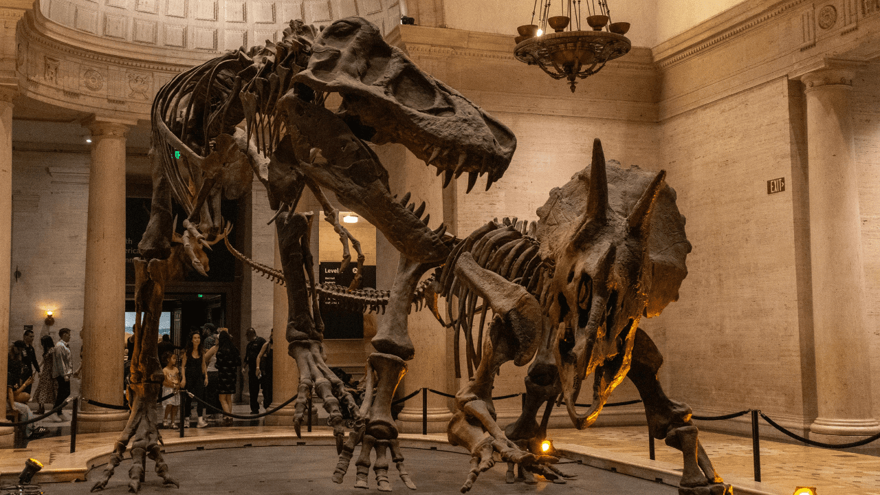 Your Guide To Low Income Financial Assistance, Housing Help, And More